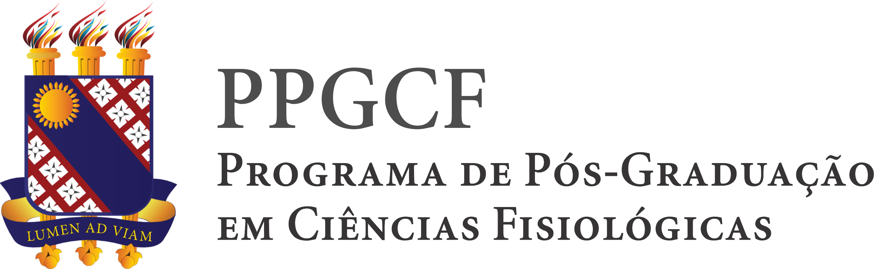 Matemática II na Educação Infantil e Nos Anos Iniciais do Ensino ...