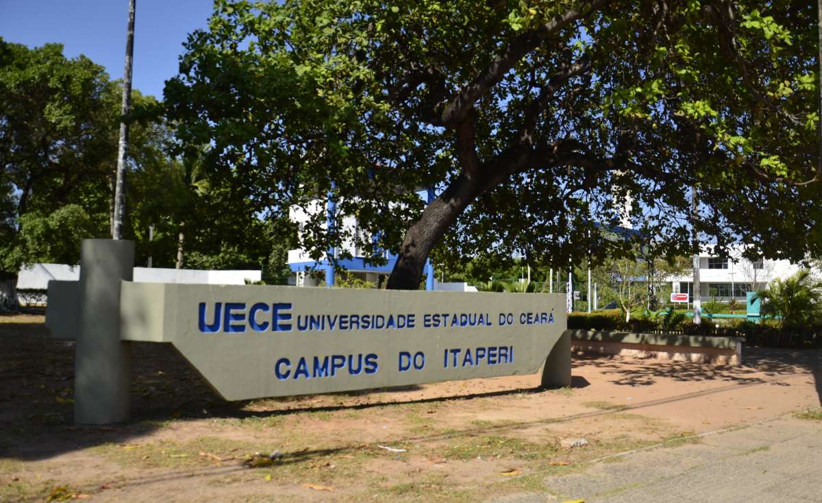 Nova edição de ranking THE traz Uece em destaque na área de Ciências da ...