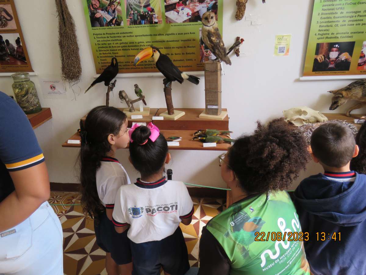 Museu de História Natural do Ceará/Uece completa quatro anos com ...