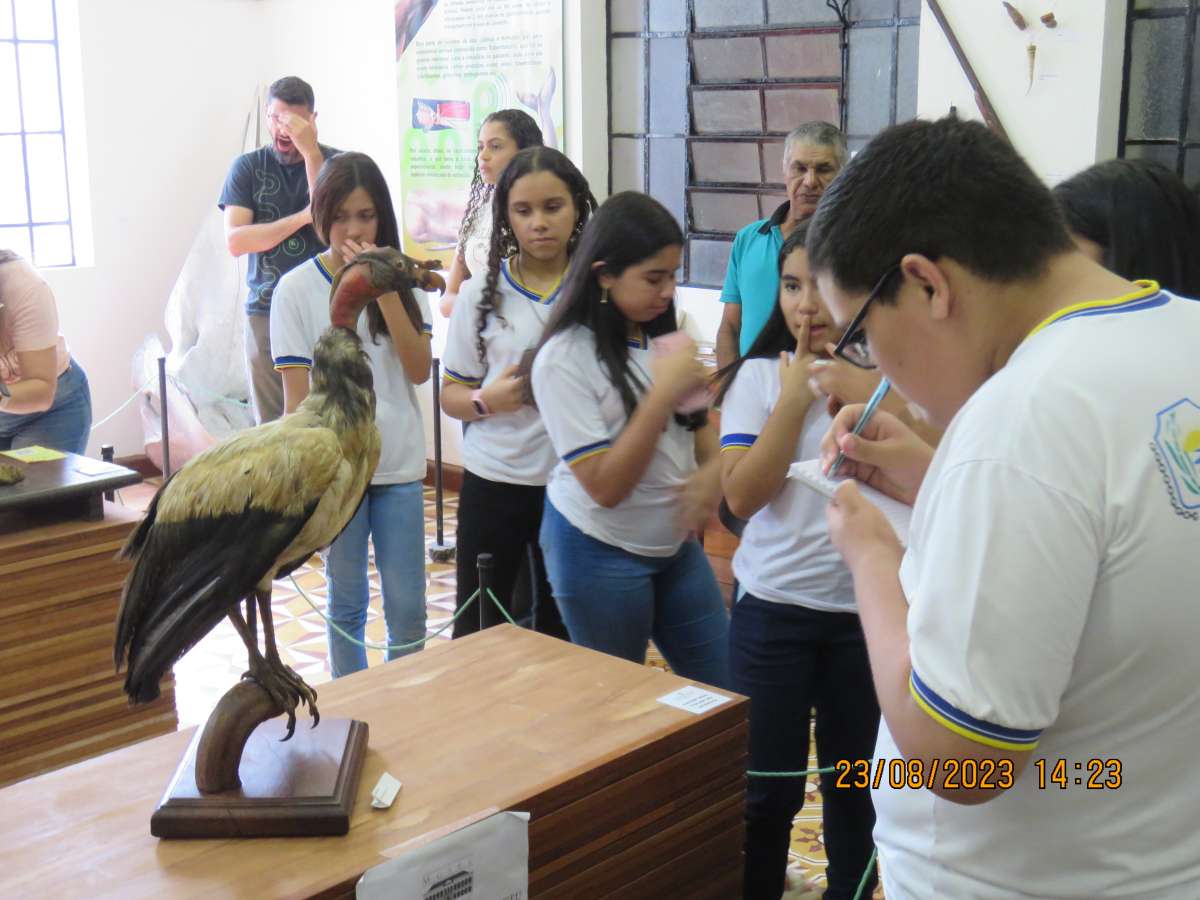 Museu de História Natural do Ceará/Uece completa quatro anos com ...